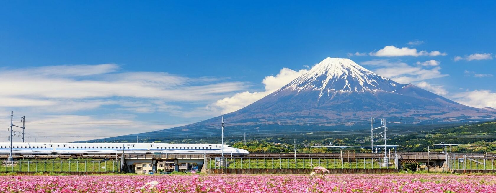 Mount Fuji: An N scale micro layout based on the Tōkaidō Shinkansen ...